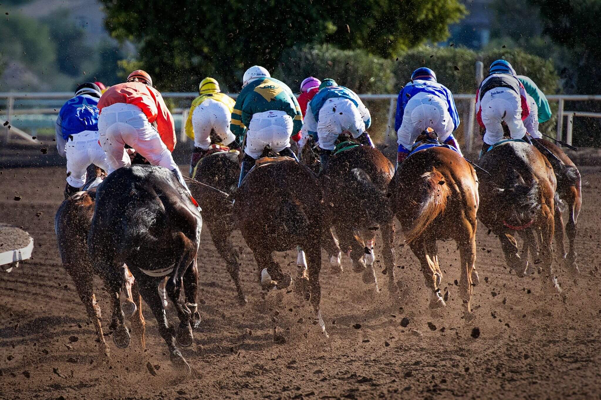 2026 Belmont Stakes Preview: Rematch At Saratoga Highlights The Test Of ...